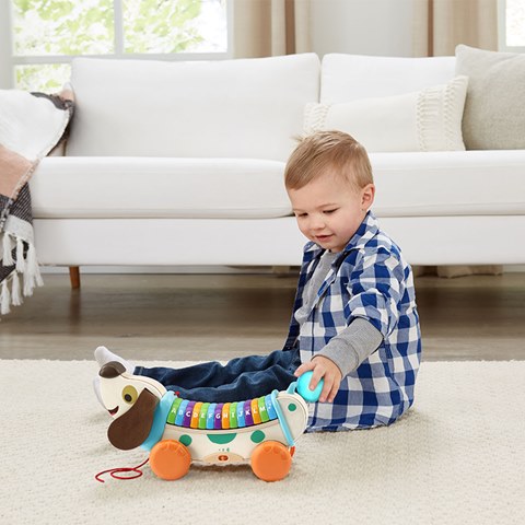 Wooden AlphaPup – LeapFrog Singapore
